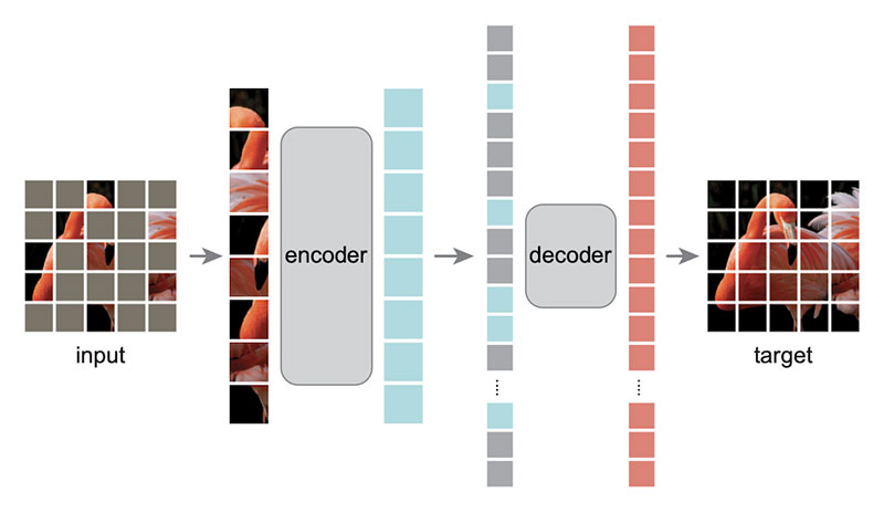 News - Masked Autoencoders Are Scalable Vision Learners - Business Systems International - BSI